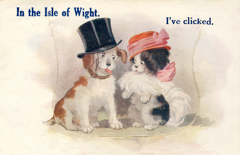 The Towill Collection - Novelty Cards